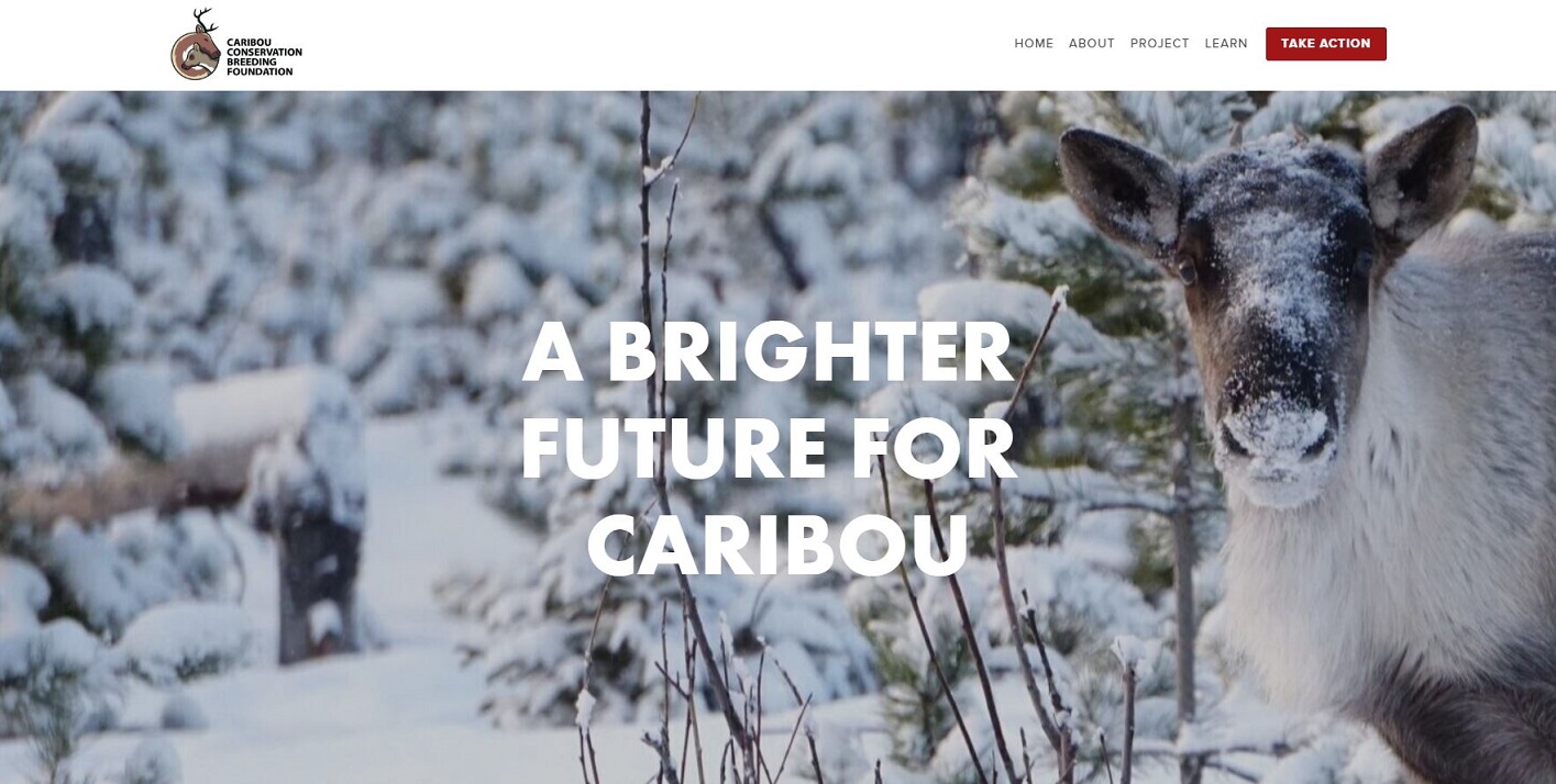 Caribou Conservation Breeding Foundation – Arrow Lakes Caribou Society